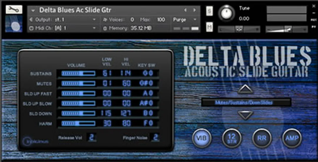 Indiginus : Delta Blues Acoustic Slide Guitar - โปรแกรมทำเพลง VST, VSTi ...
