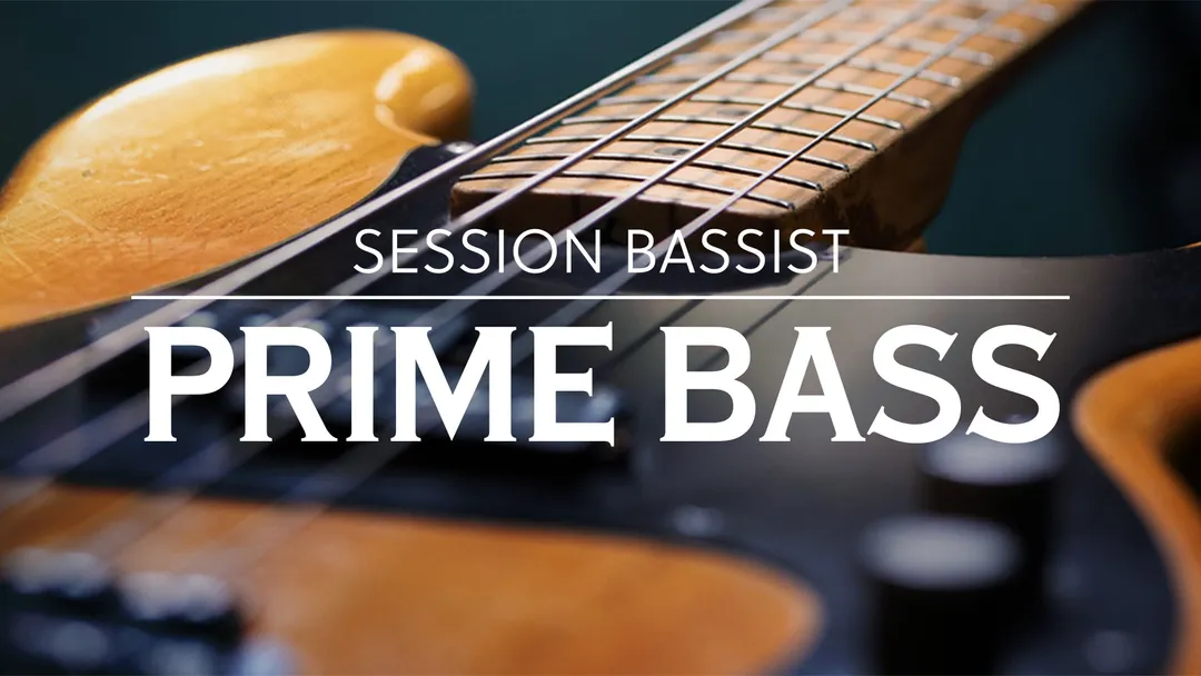 Native Instruments – Session Bassist — Prime Bass - โปรแกรมทำเพลง VST ...